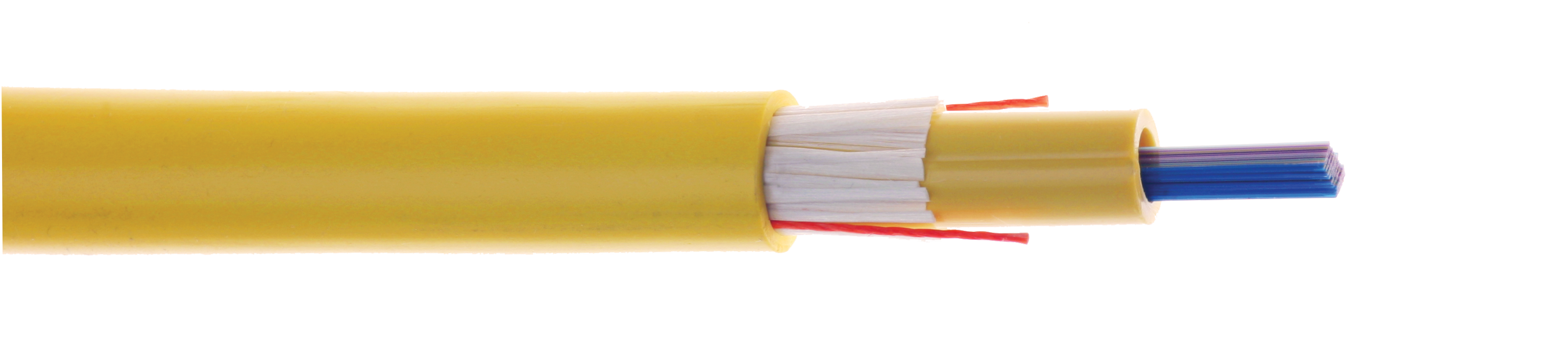 GenSPEED® COLink Indoor RICT Ribbon Cable | Prysmian